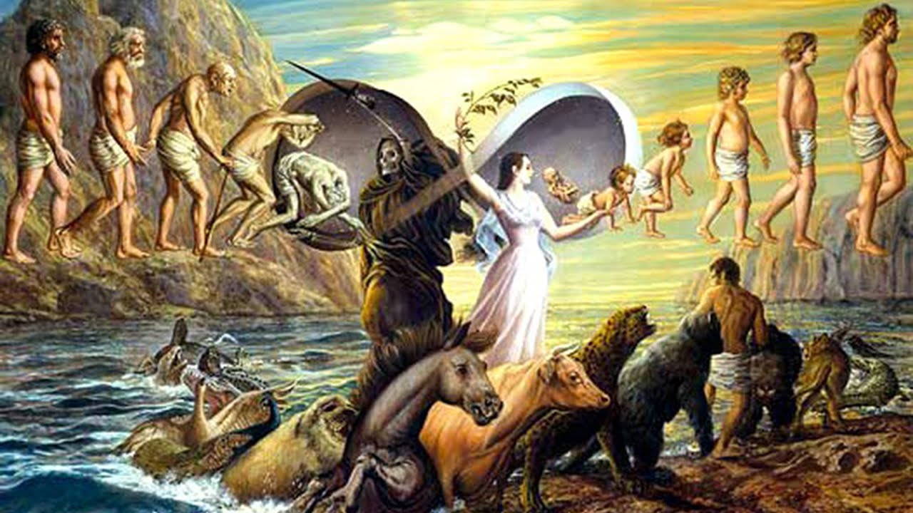 The Ultimate Guide on Soul and Transmigration - JAI SRILA PRABHUPADA